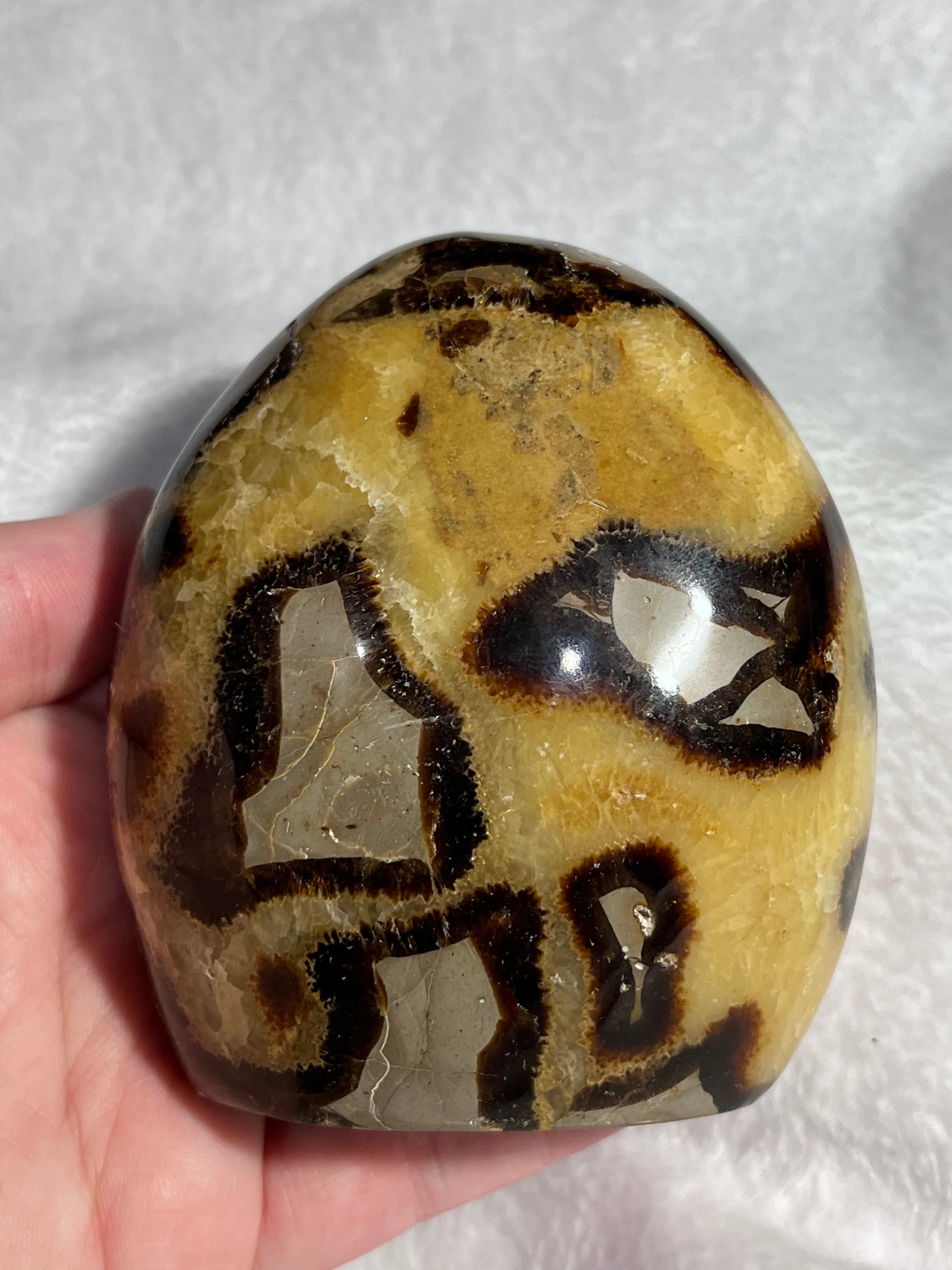 Septarian Geode Freeform* | Soul Essence Crystals